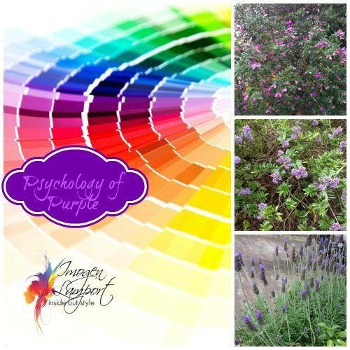 Psychology of Colour - Purple