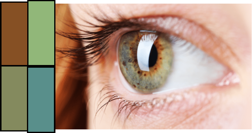 True Spring eye 3 | Colour Analysis | Pinterest | Eyes, Spring and Eye ...